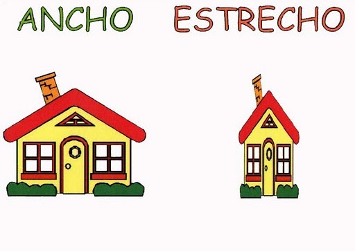 ¡Por fin somos mayores!: Ancho y estrecho