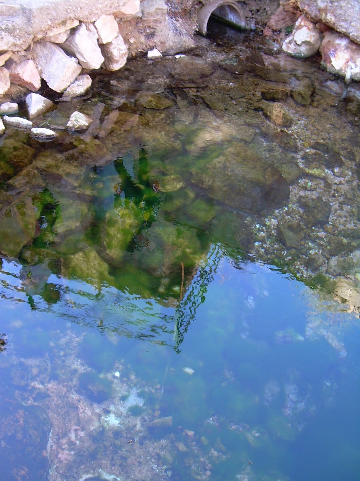 NACEDERO RIO GINEL - LAGUNA SALADA | Cruzados BTT Zaragoza