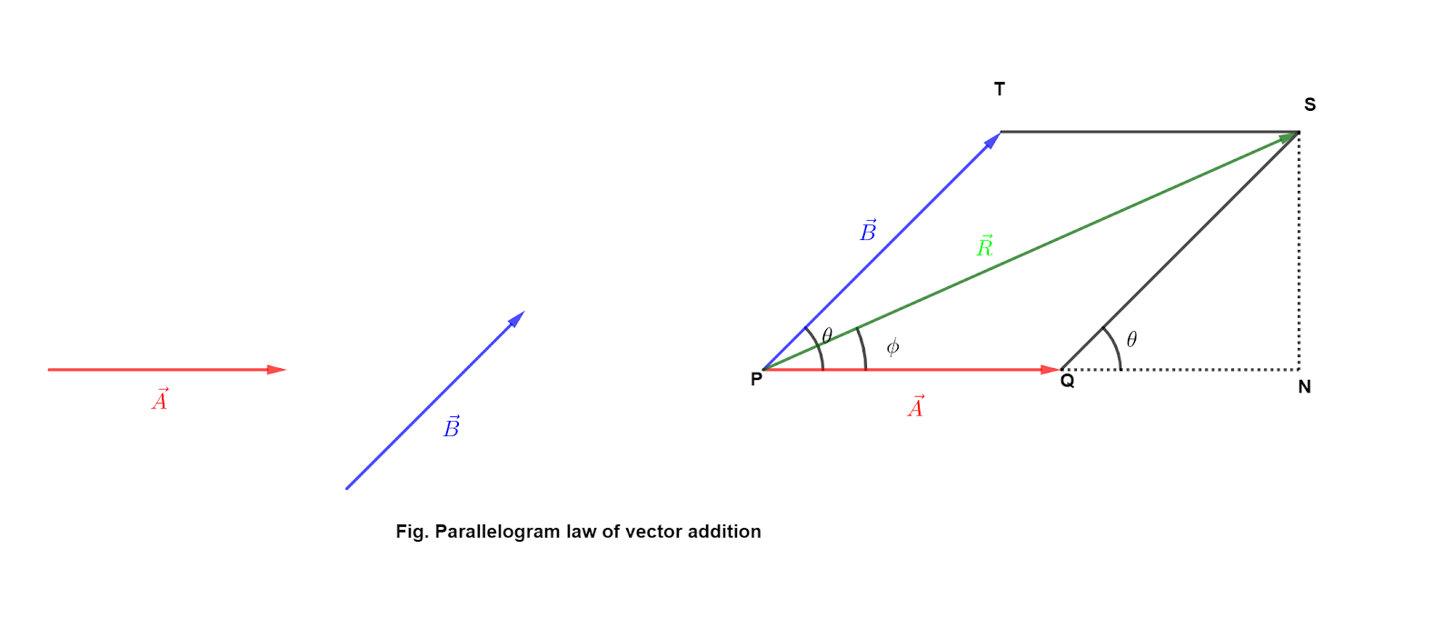 Scalars and Vectors | Complete notes | Important Questions | Class 11 ...