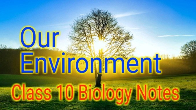 NCERT Solutions for Class 10th: ch 15 Our Environment - NCERT Solutions ...
