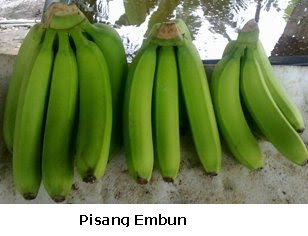 ۞۩۩۞۞۩۩۞(ENGKU PUTERIZ) ۞۩۩۞۞۩۩۞: pisang dan khasiatnya