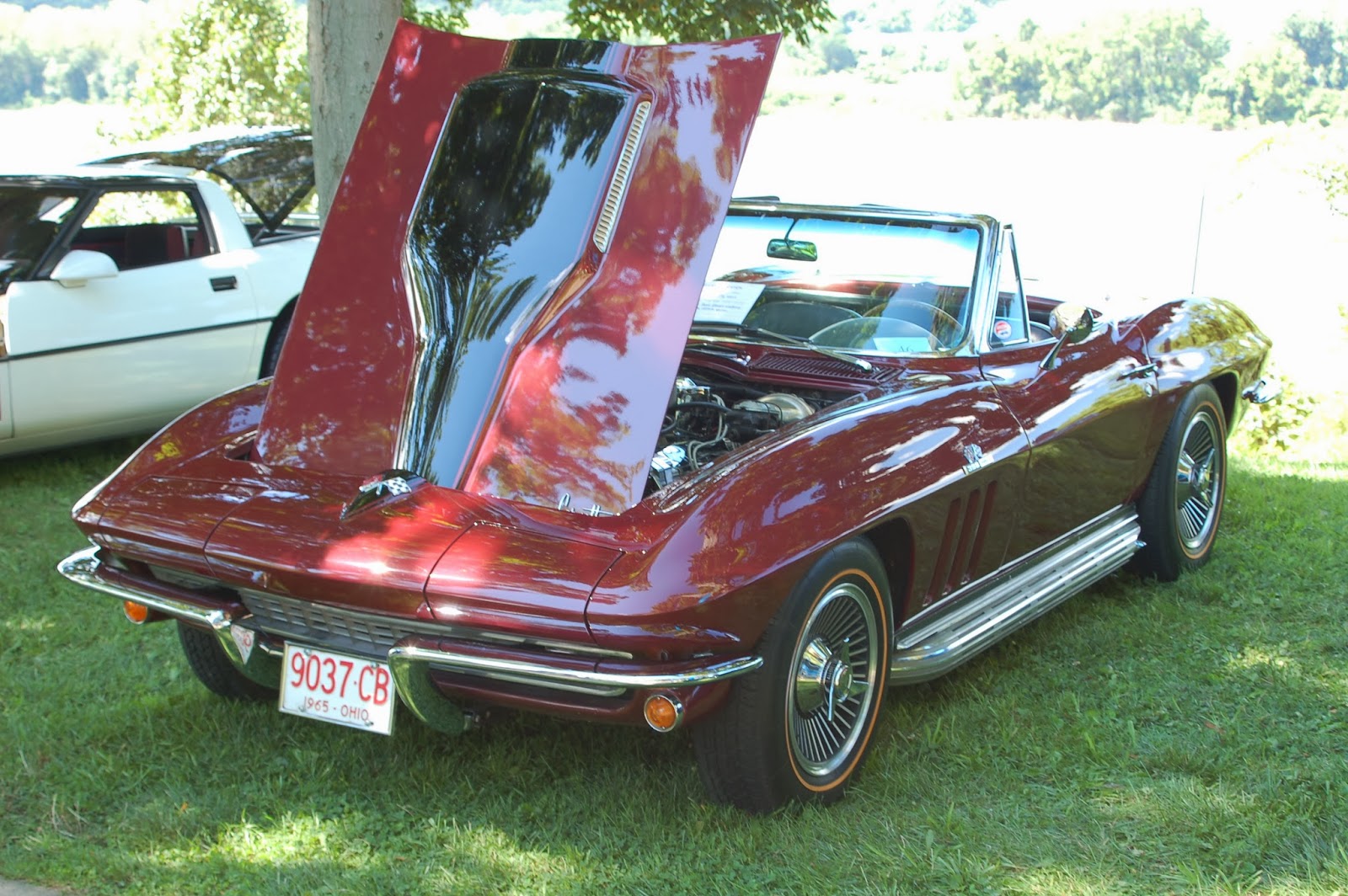 Turnerbudds Car Blog: The Last of the Vettes