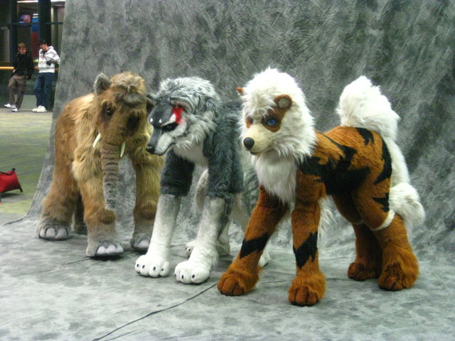 The Fur Side: Favorite Quad-Suits