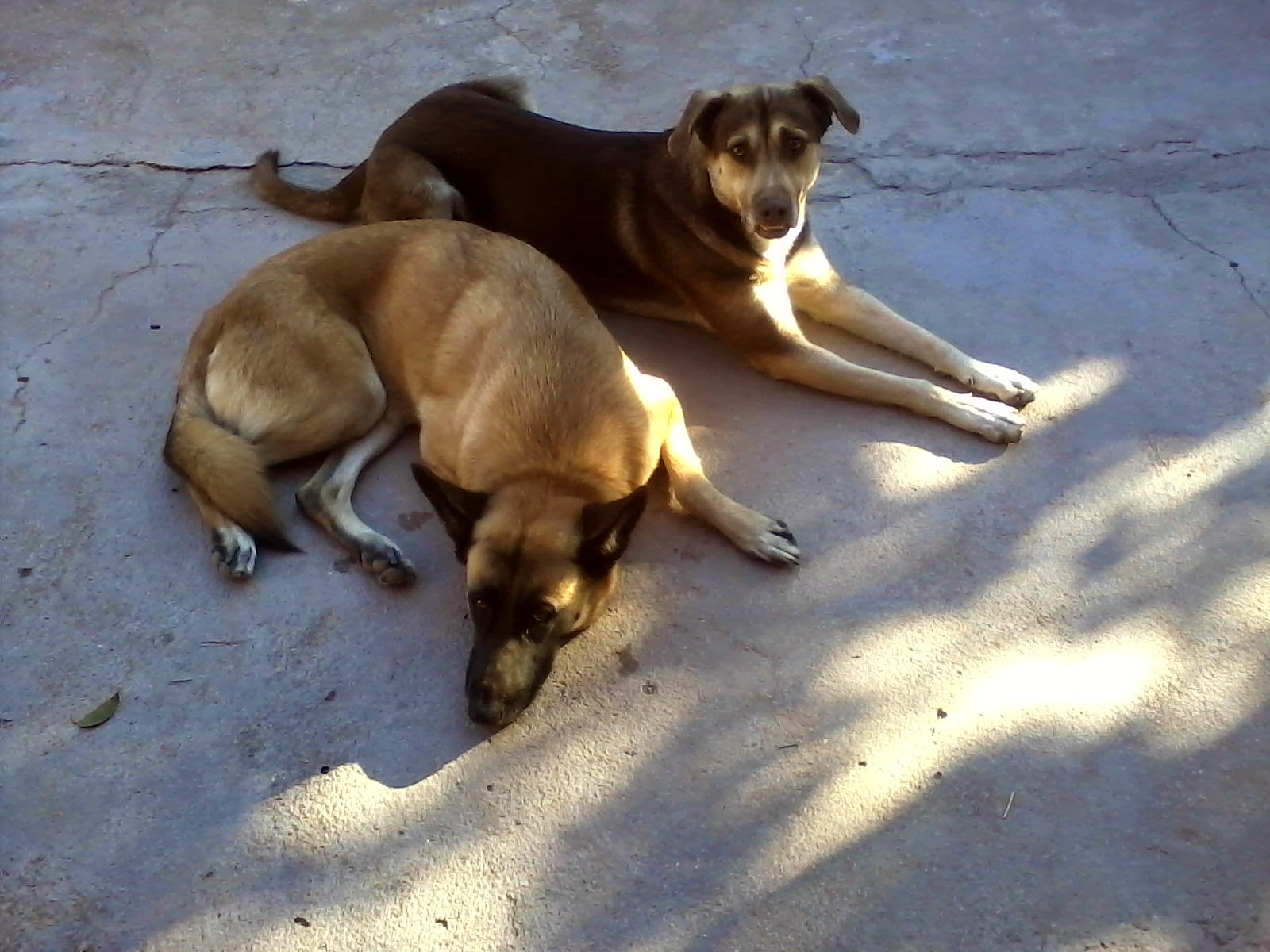 Dirección de Extensión Cultural Cámara de Diputados La Rioja: DIA ...