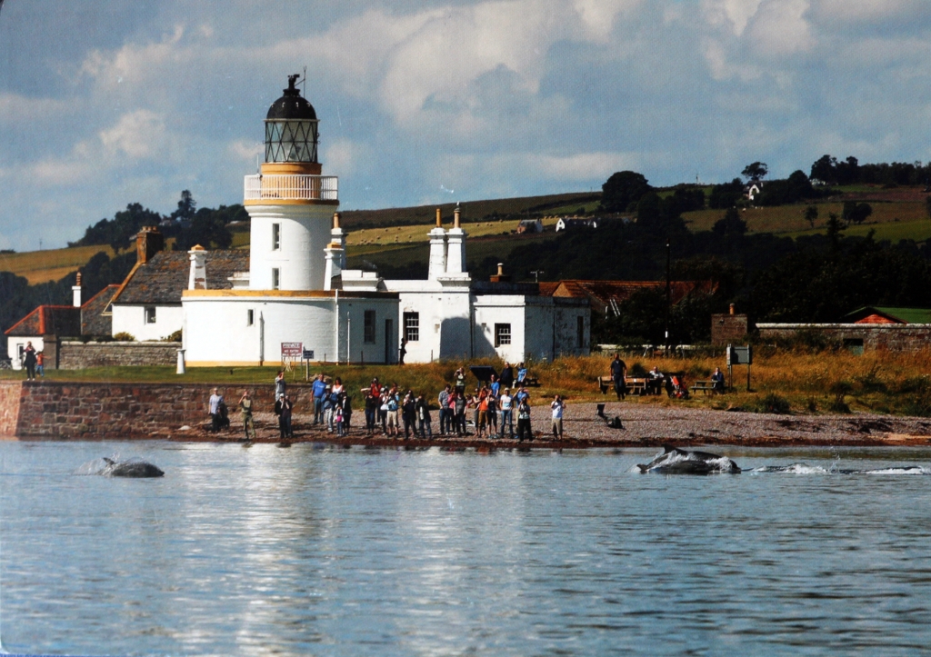 Mail Adventures: More Lighthouses on Postcards