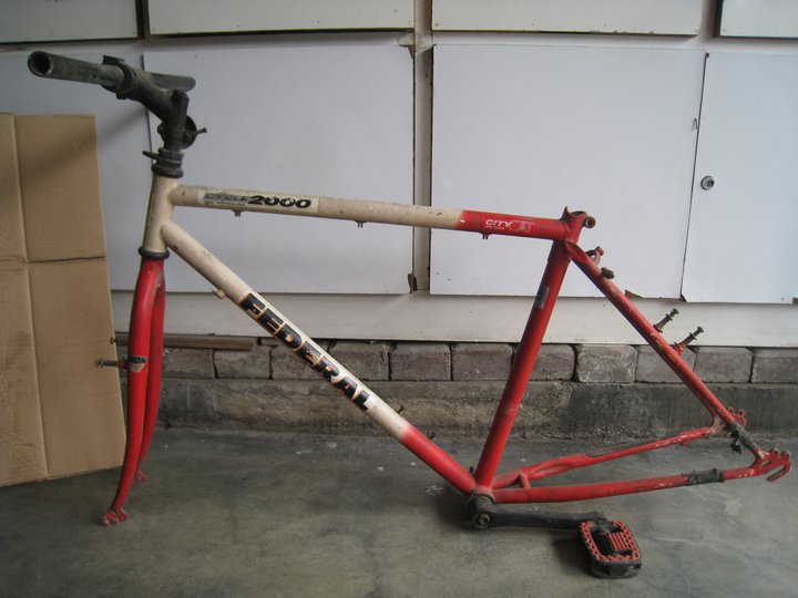 frame federal city cat - the federal gallery