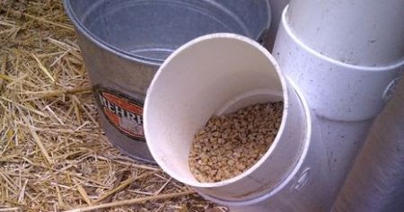 PVC Chicken Feeder | Find My DIY