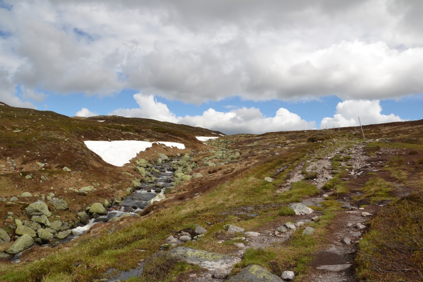 Rundtur Tempelseter - Høgevarde - Gamleseter - Tempelseter