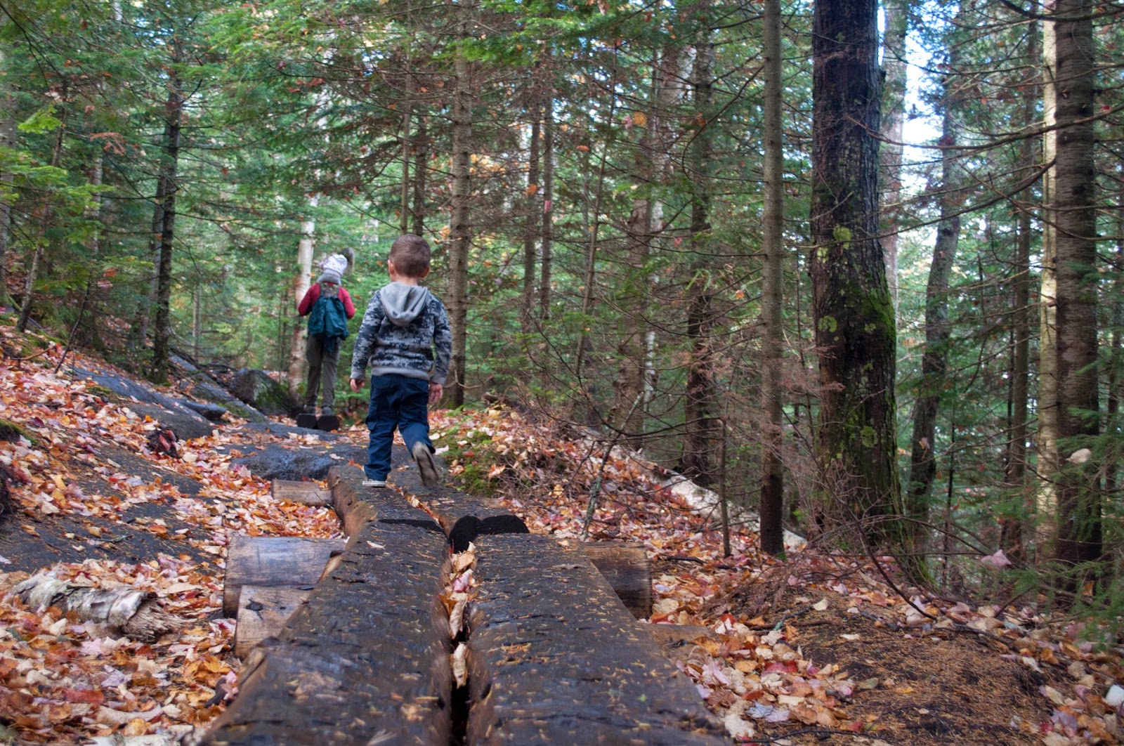 The Adventures of Asher & Journey: Climbing Mt Jo in New York's ...