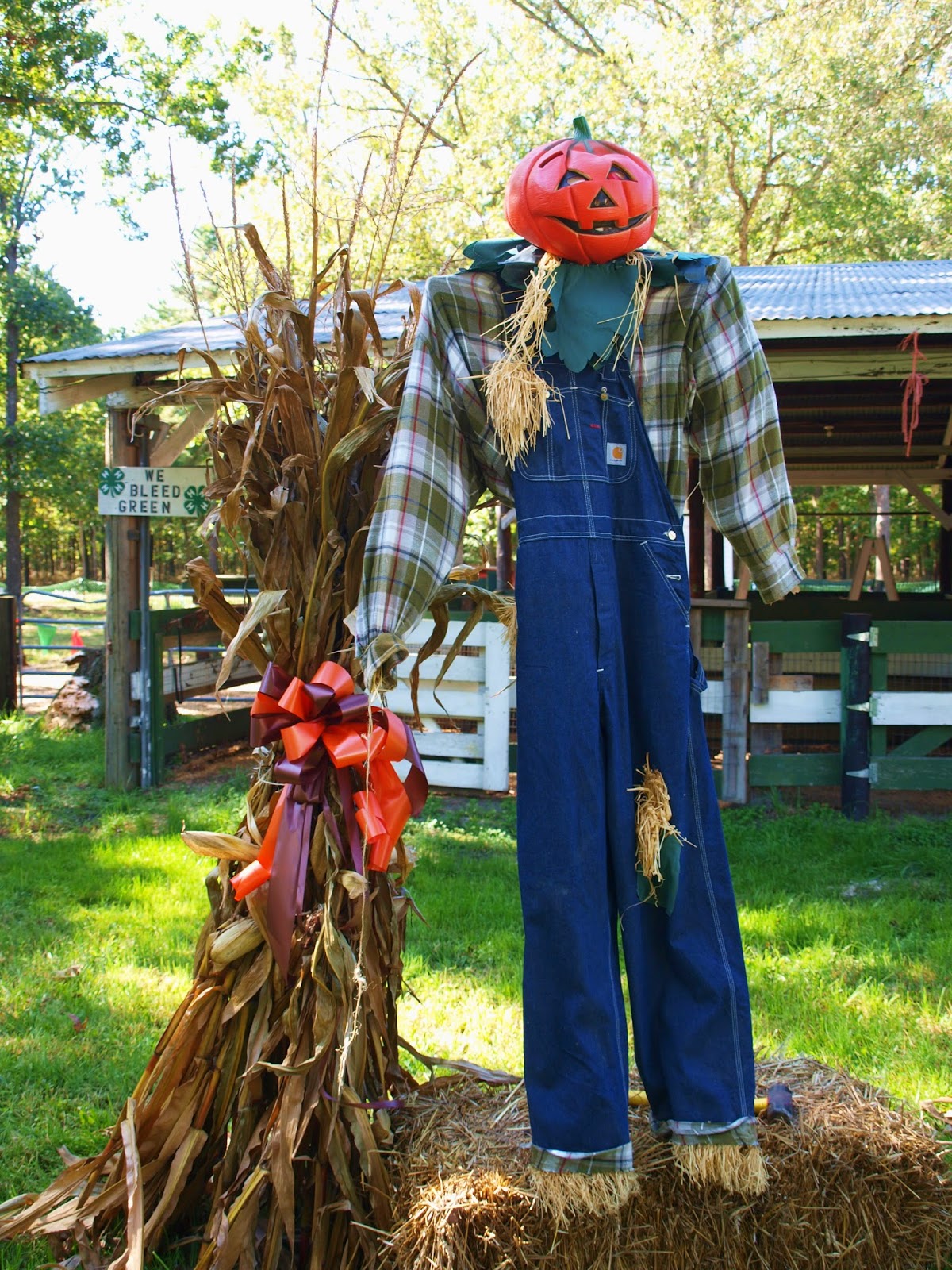 Ohio Thoughts: Building A Scarecrow