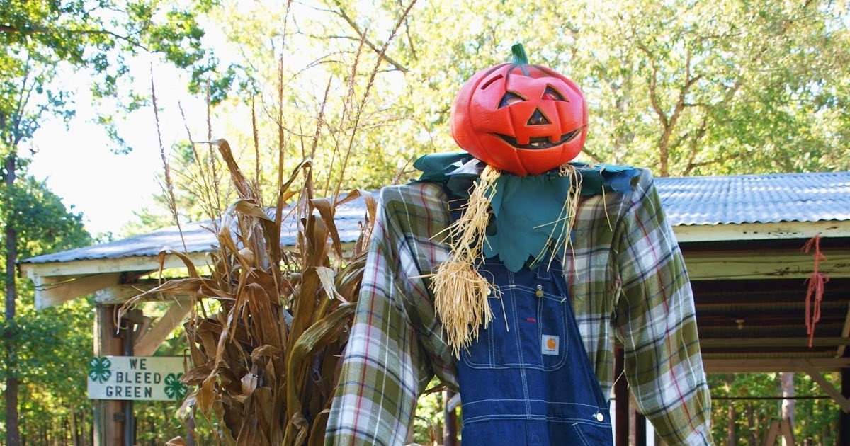 Ohio Thoughts: Building A Scarecrow