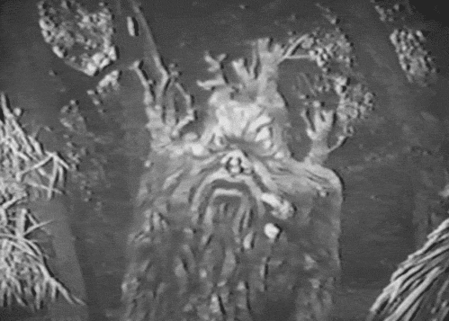 I Had NO Idea! - The Classic Horror Film Board