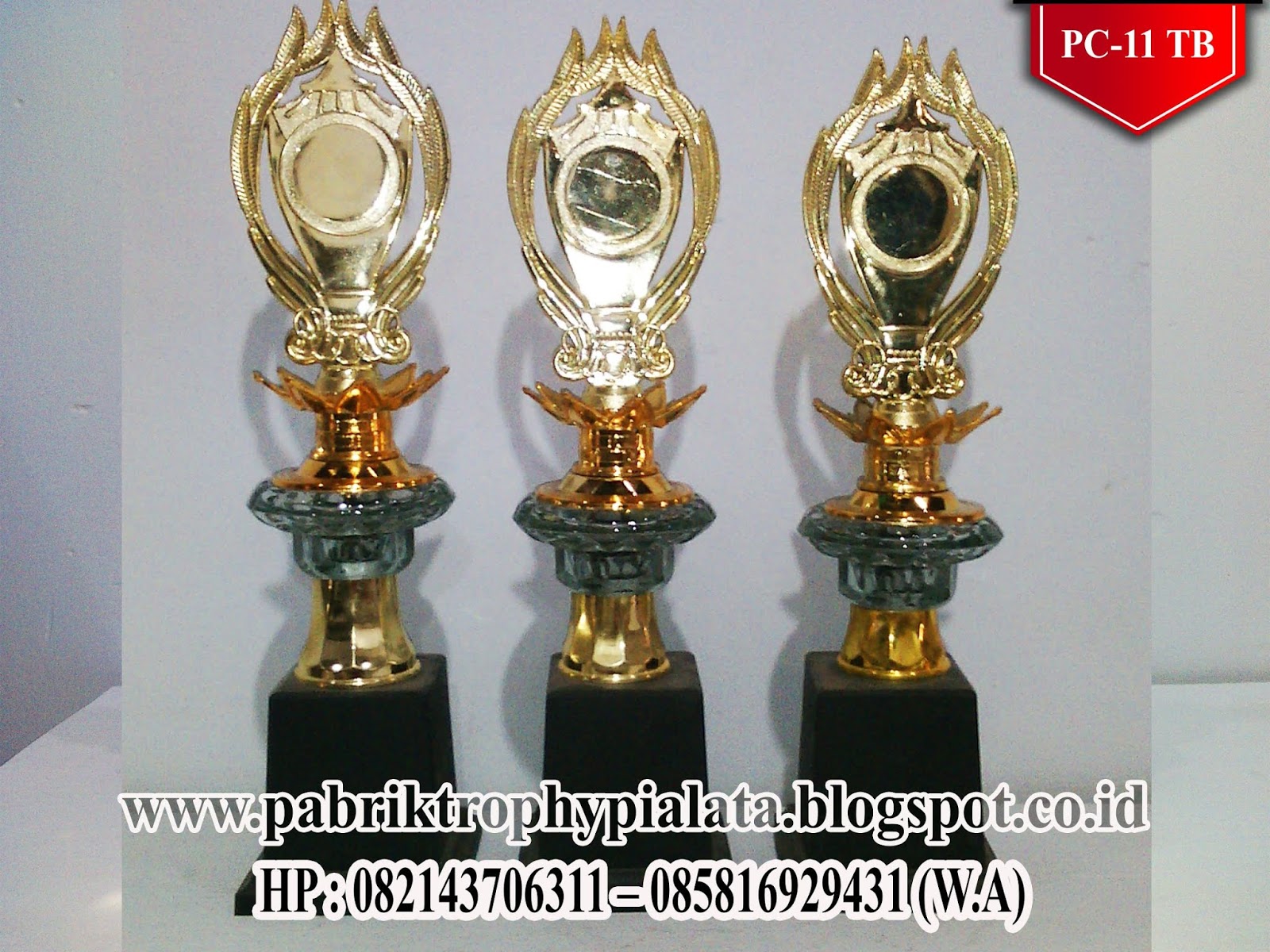 Pengrajin Trophy Murah: Jual Piala Trophy Mini Kontes Anak-Anak