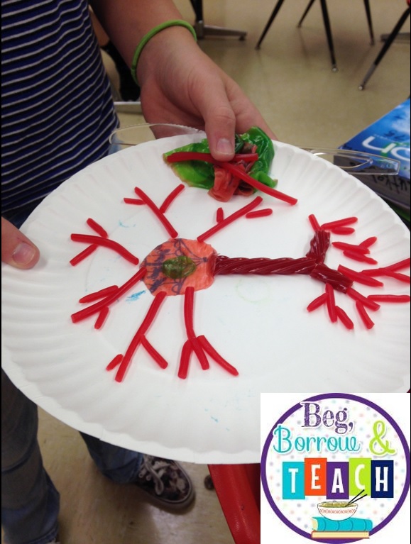 Beg, Borrow, and Teach!: Growth Mindset, Art, and Science Activity ...