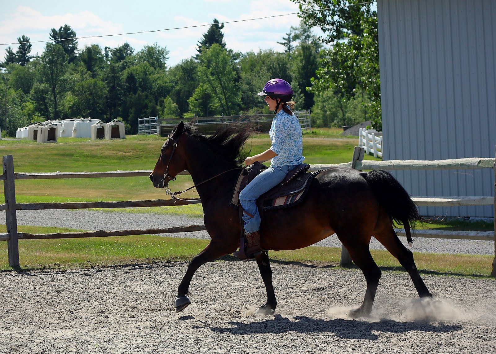 Me Riding a Horse / Nelson Notes
