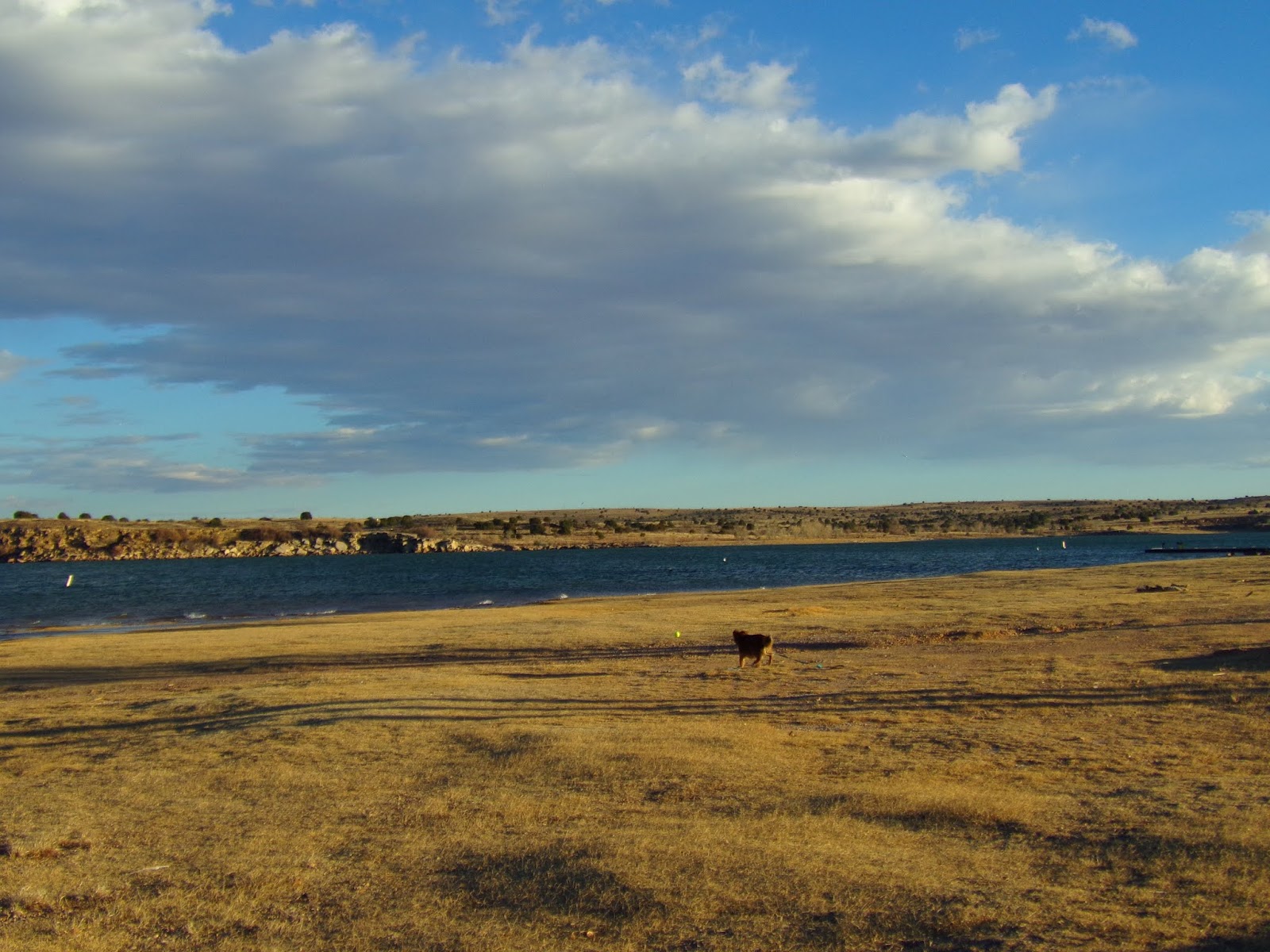 Sumner Lake State Park, Fort Sumner, New Mexico