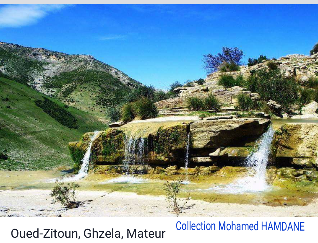 CULTURE et PATRIMOINE DE TUNISIE EN IMAGES- MOHAMED HAMDANE-ثقافة وتراث ...