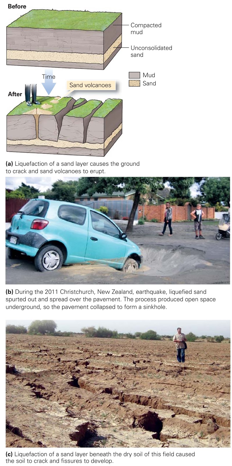 Learning Geology: How do Earthquakes causes damage?