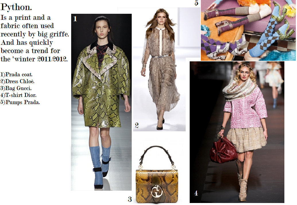 Fashion Victeam: Python