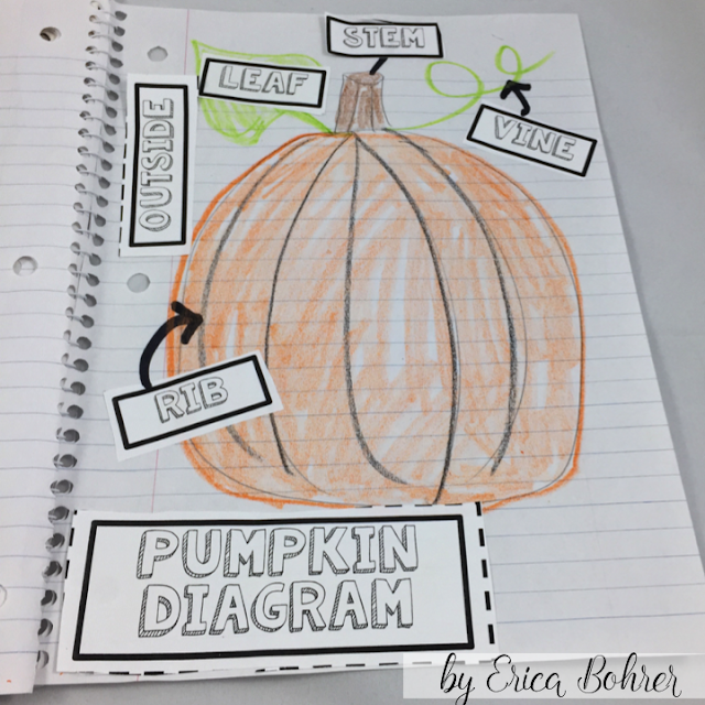 1st Grade Pumpkin Ideas & a Freebie