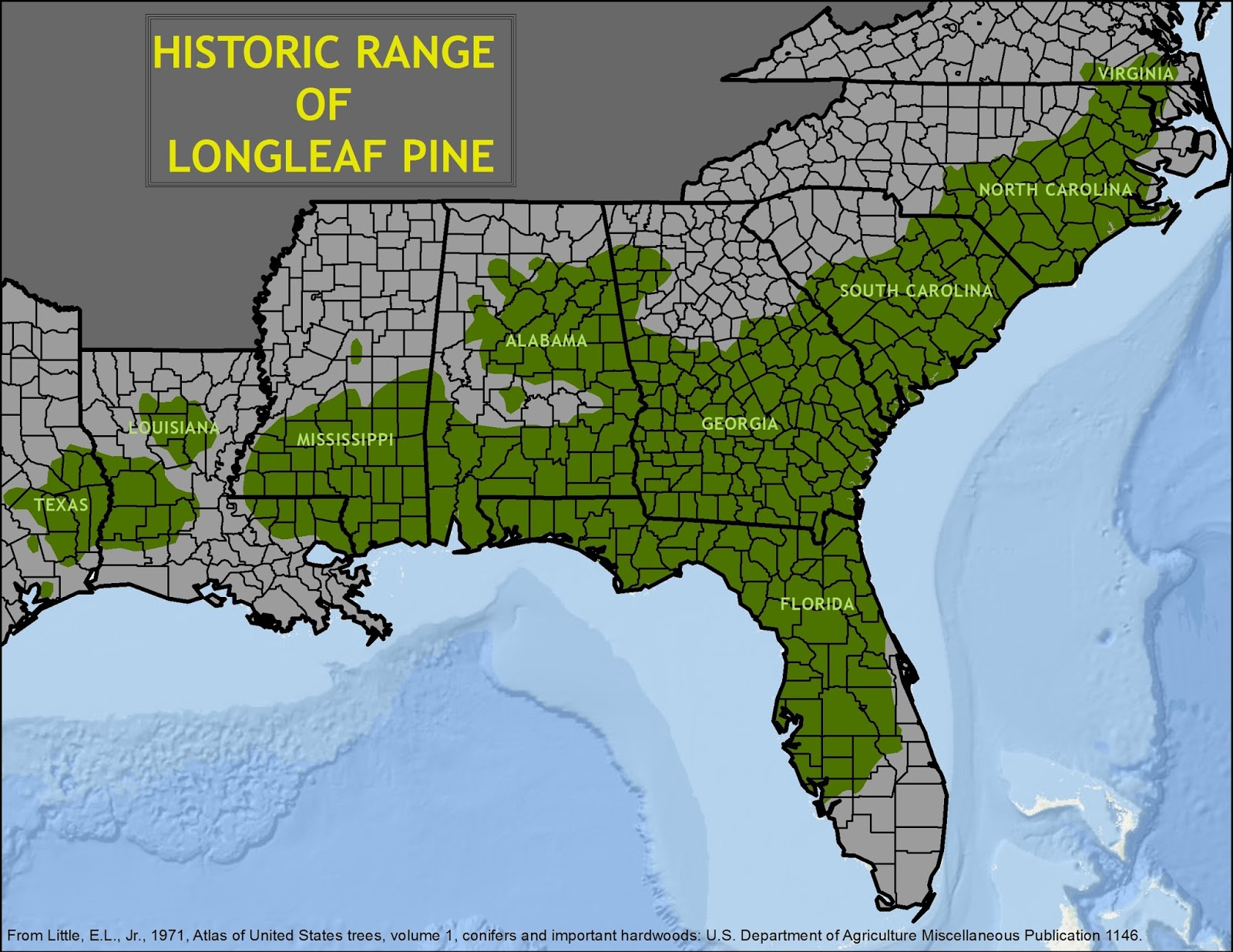 On the Subject of Nature: Longleaf Pines Forests and Red-Cockaded ...
