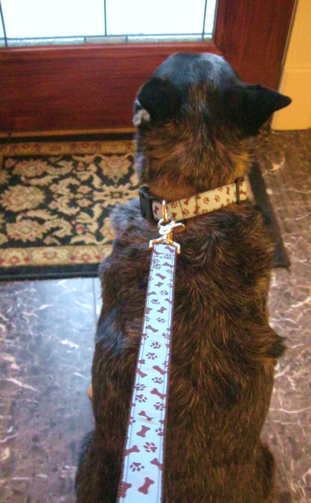 Summer Wind: Summer Wind Gift Guide: Preppy Puppies!