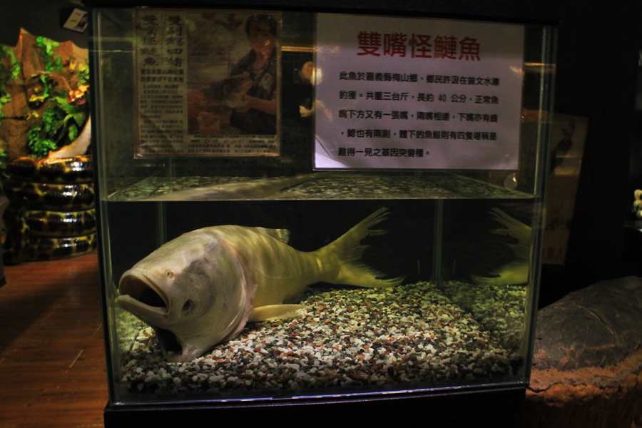 Danshui Old Street and Museum of the Strange @ Taiwan