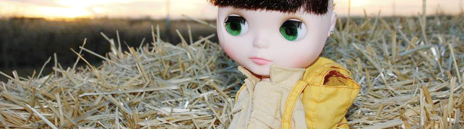 La Cajita de Blythe: Ropa en Zig-Zag para Blythe