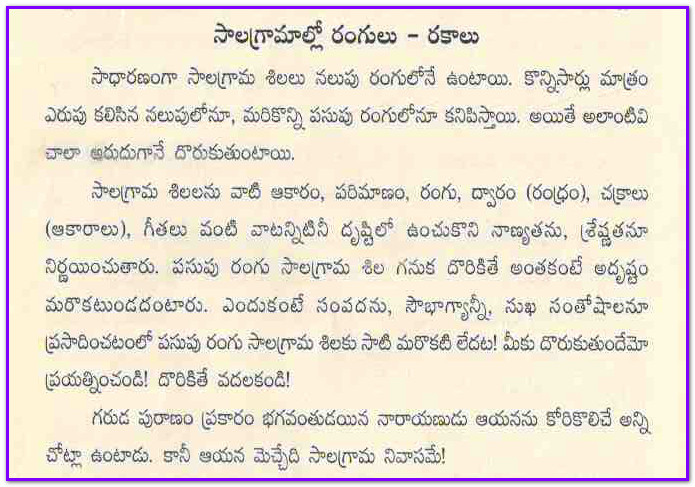 CHODAVARAMNET: AN ARTICLE ON SALAGRAMAM - shaligram, shaligram stone ...