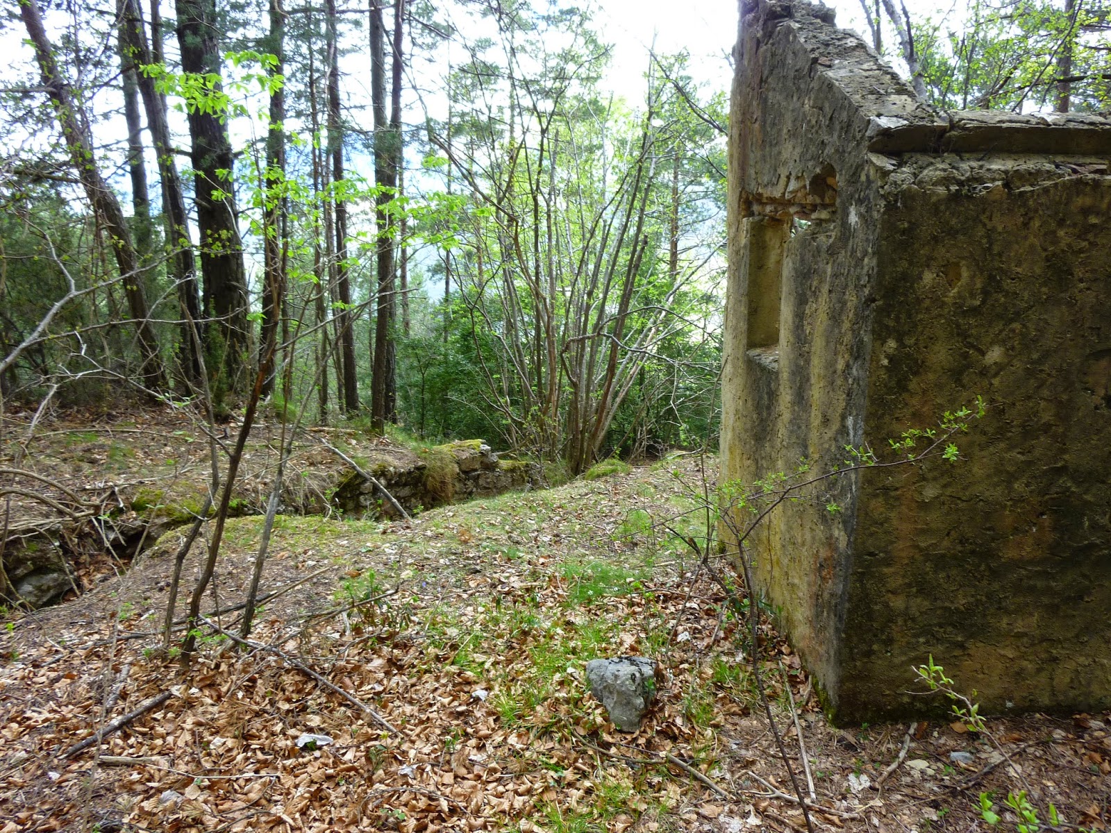 Amics del Museu Geològic del Seminari de Barcelona: Isabel Benet ...