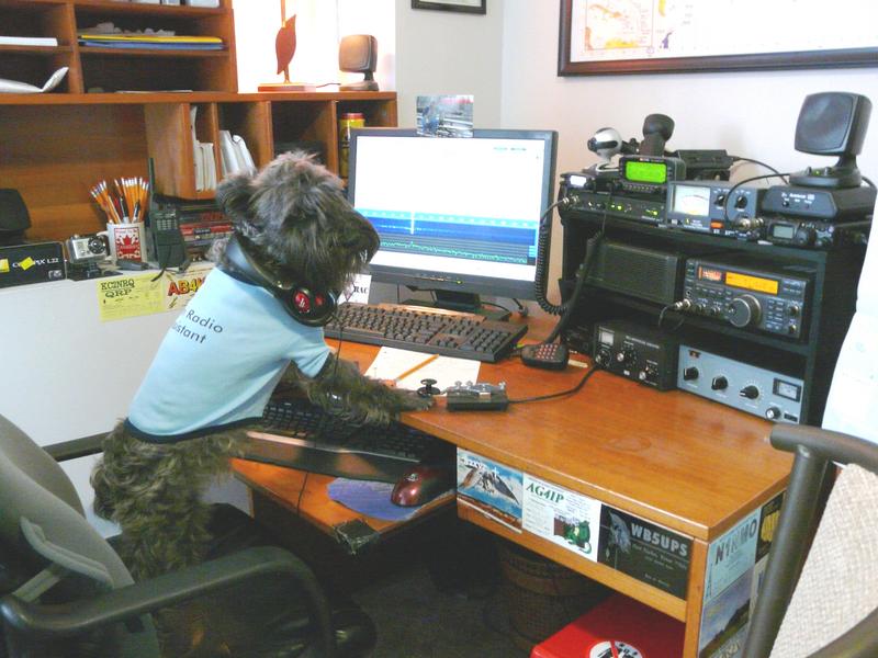 W. M'sia Ham Radio Station - 9M2ESM (EX-9W2ESM): Animal & Ham Radio