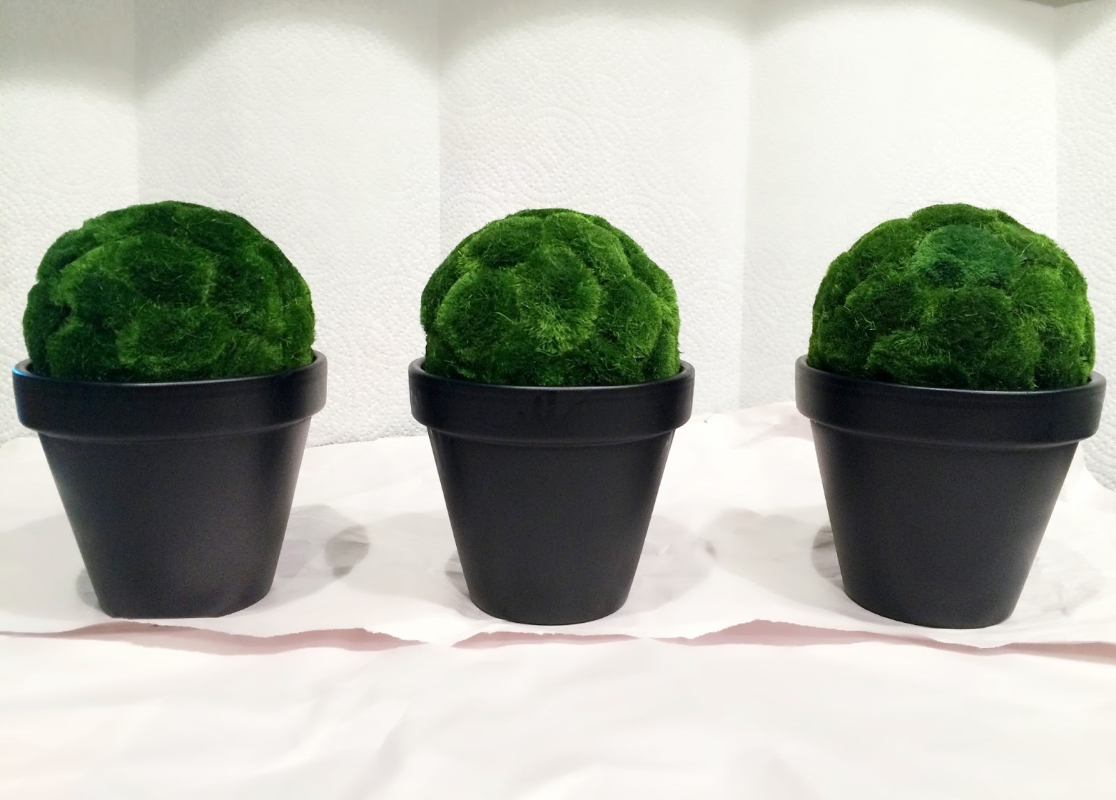 Brooke Sandra Blog | Life & DIY Inspiration: DIY Potted Moss Ball Decor