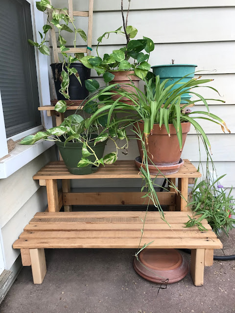 Clover House: Stair Step Plant Stand