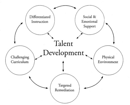Talent Centered Model for 2E Students