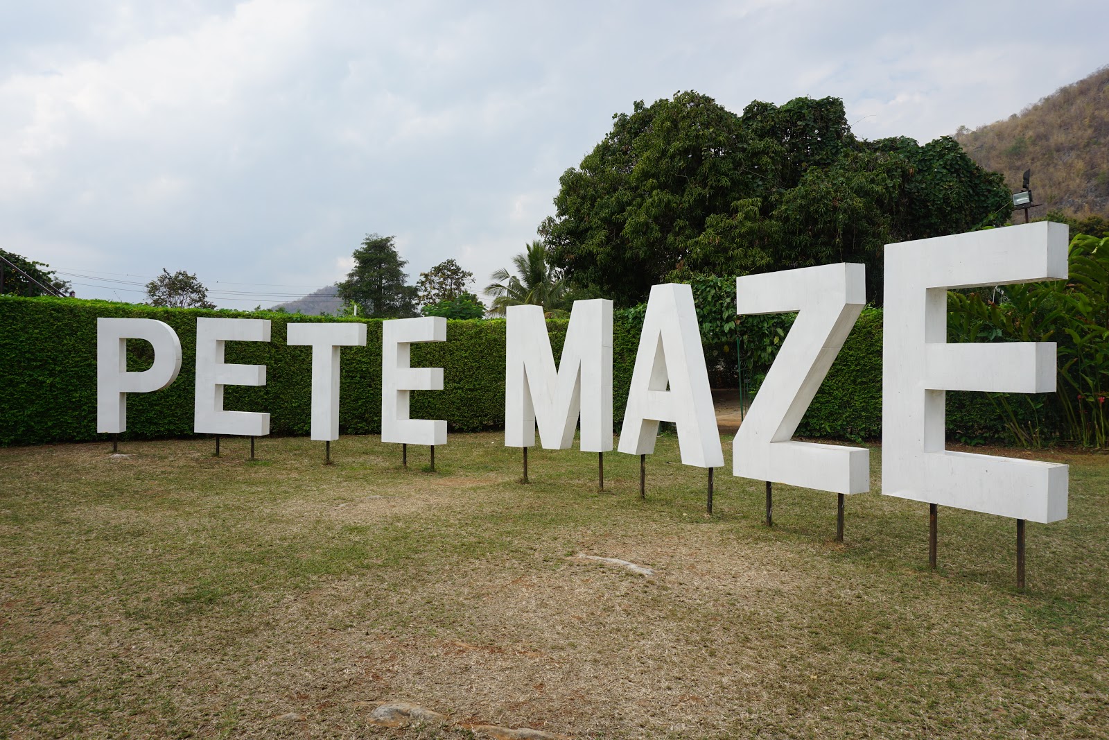 SHARE TWEET TELEGRAM WHATSAPP PIN IT SHARE