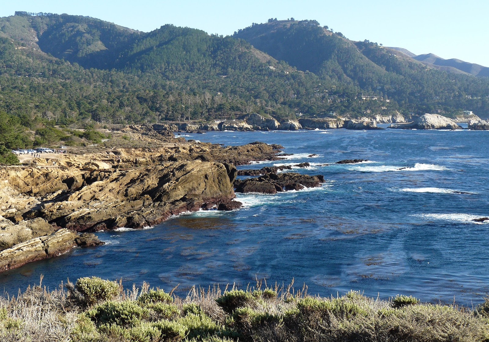 My Coastal California: Point Lobos State Natural Reserve