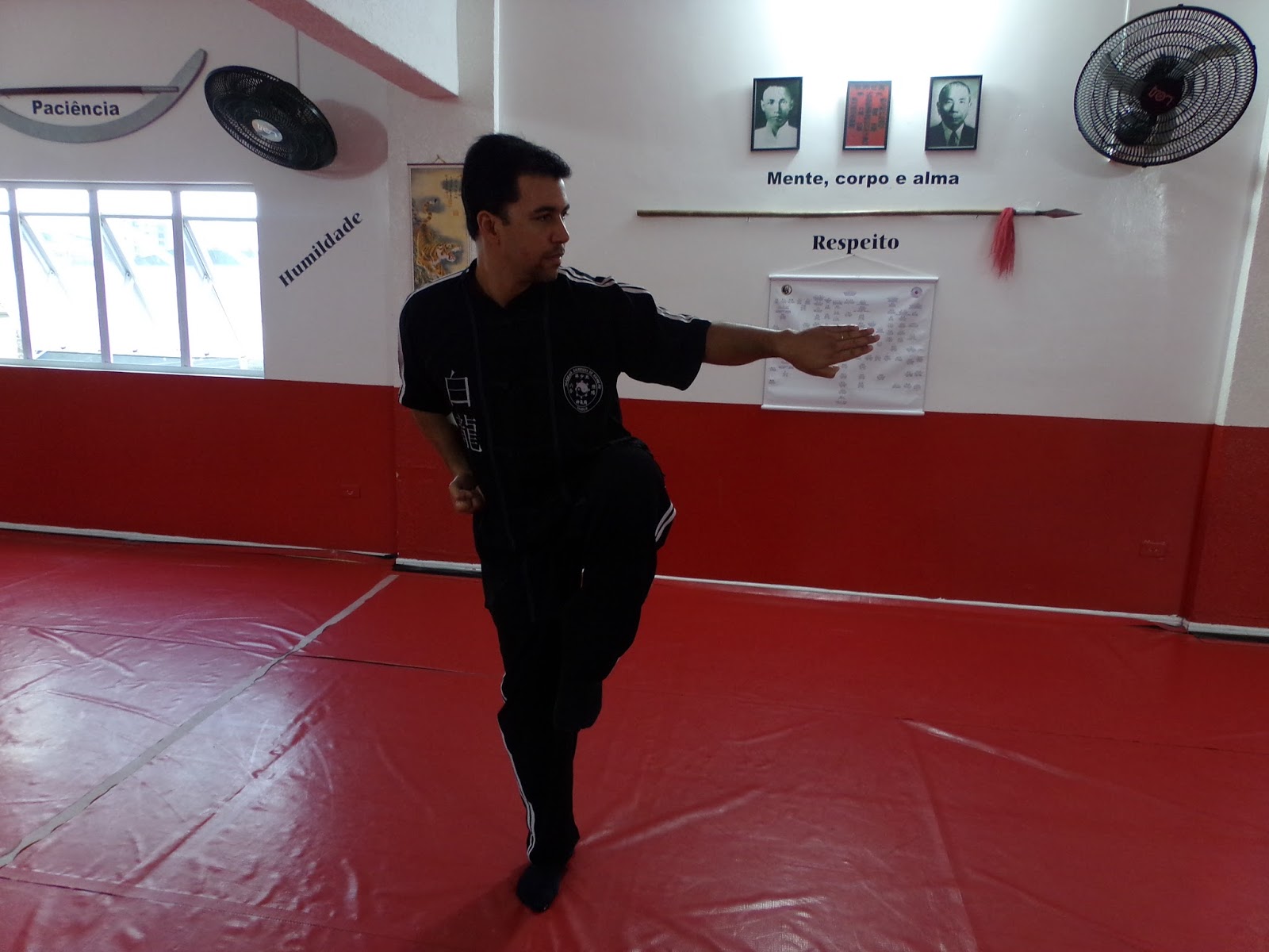 Shaolin Brasil: As 10 Rotinas de mãos livres do Shaolin do Norte 北少林 ...