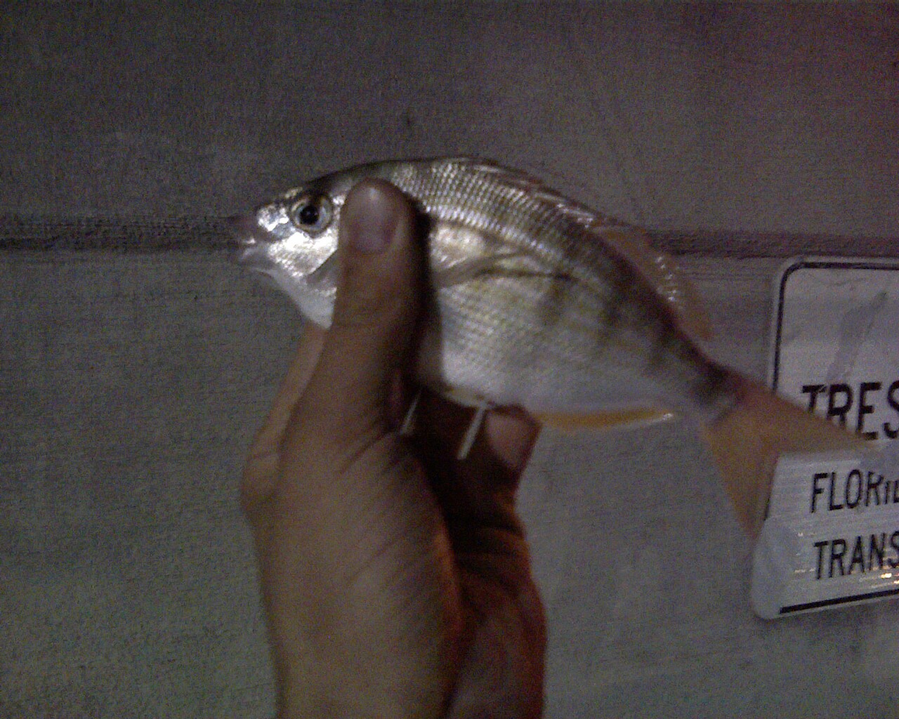 Here Goes Nothing: Denver: Fishing Excursion: The First