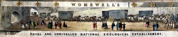 Victorian History: Travelling Menageries