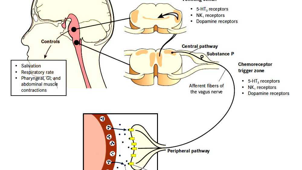 Chemoreceptor trigger zone