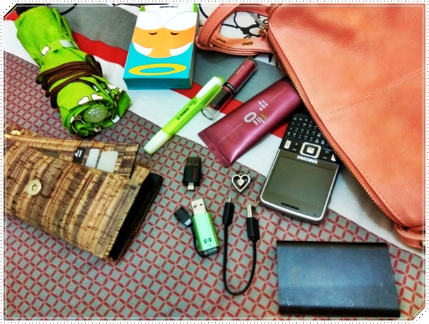 10 Benda Yang Wajib Ada di Dalam Tas | NICHEALEIA