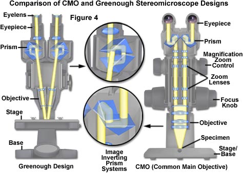 Microscope World Blog: Stereo Microscopes: Greenough vs. Common Main ...