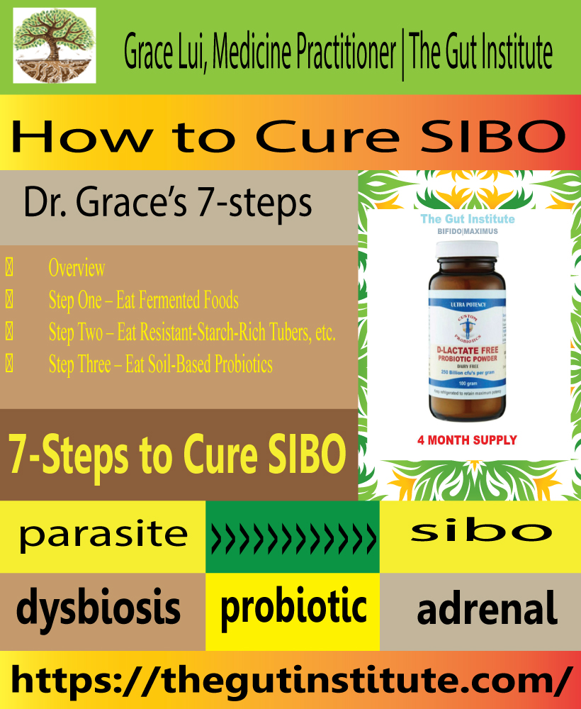 How to Cure SIBO