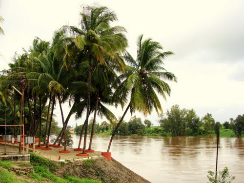 E MAIL ssntstrust@yahoo.com