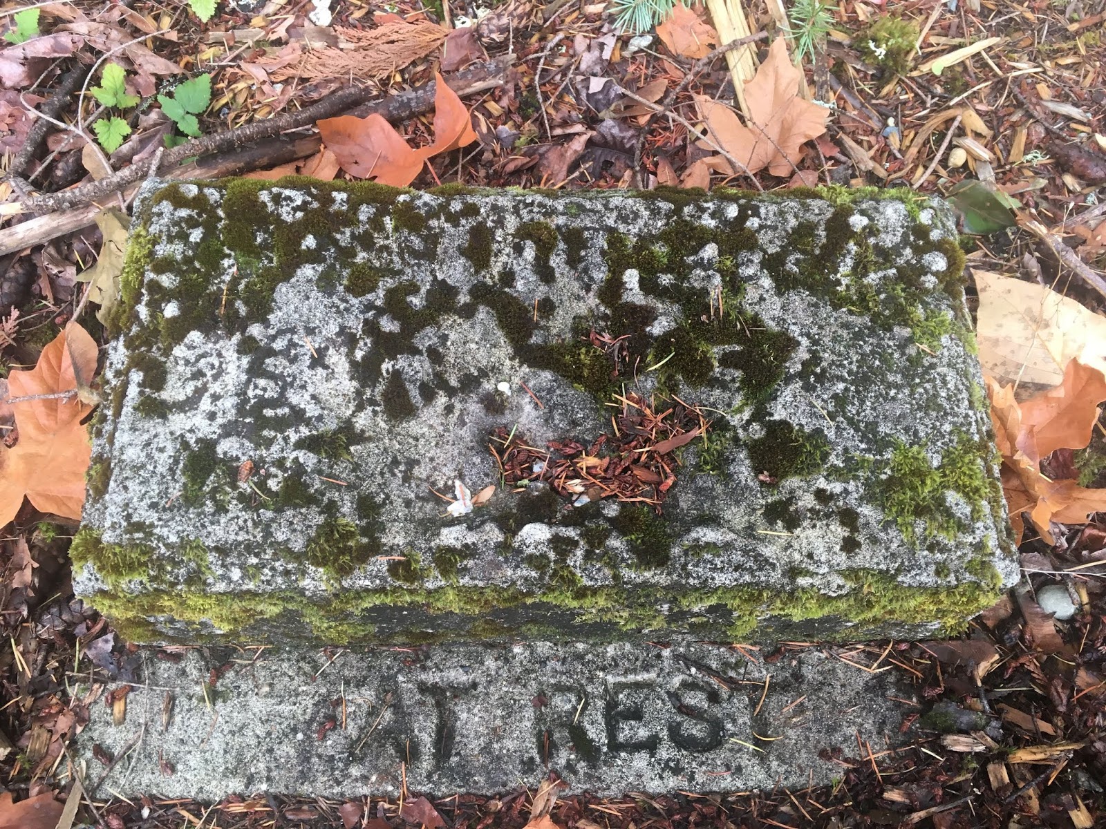 Heroes, Heroines, and History: SWEDISH CEMETERY 1893