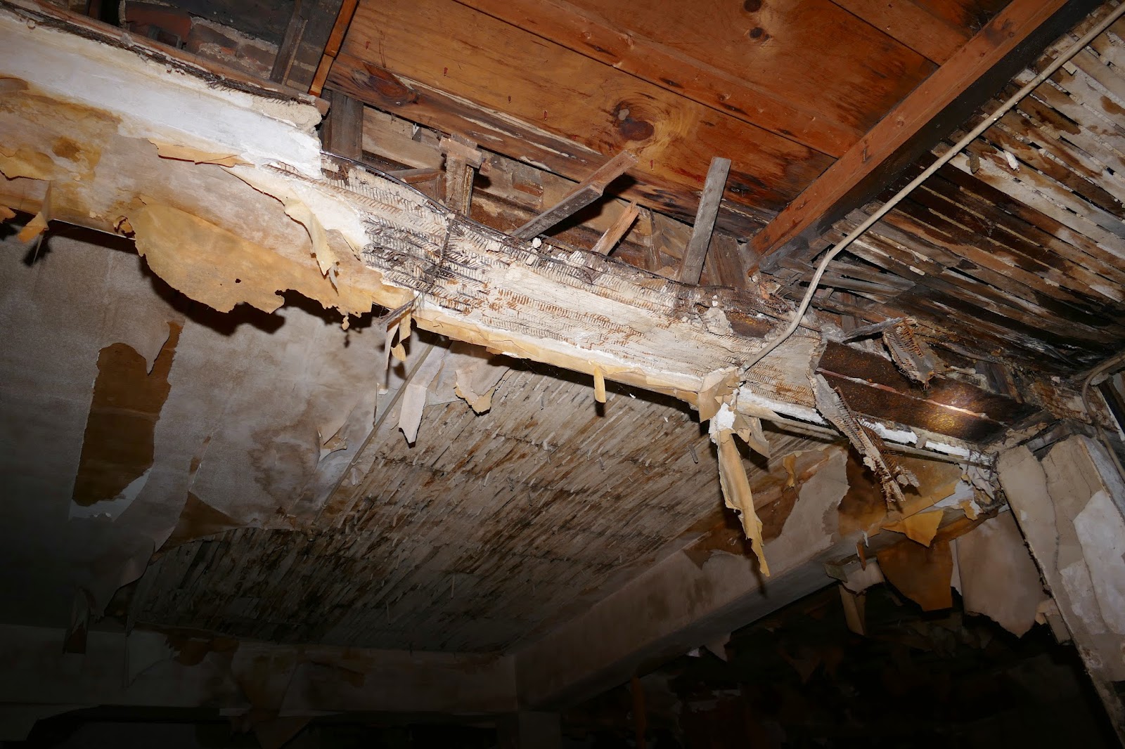 Saving the Mithoff: Ready to See What the Mithoff Looks Like?