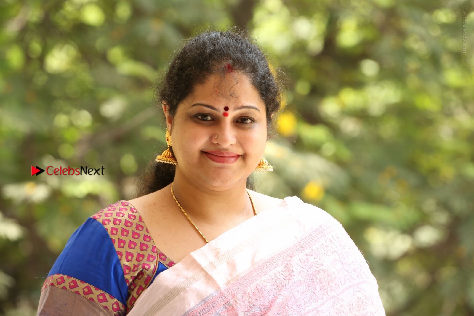 Actress Raasi In Saree