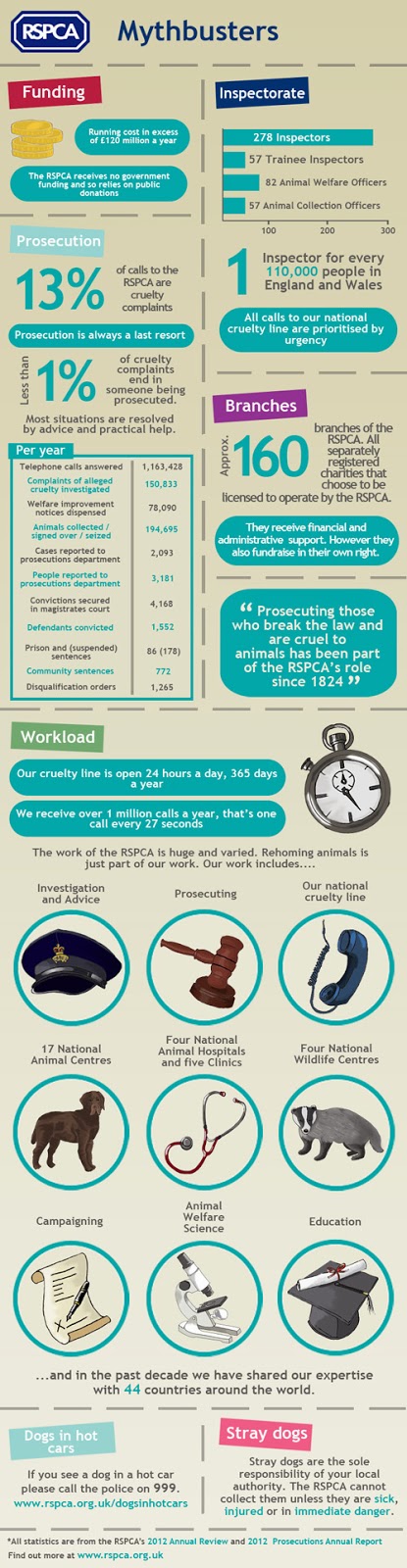 RSPCA Cambridge: Mythbusters infographic