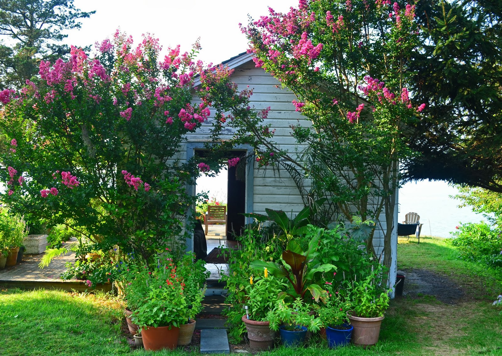 Through The Looking Glass: Baiting Hollow Hummingbird Sanctuary