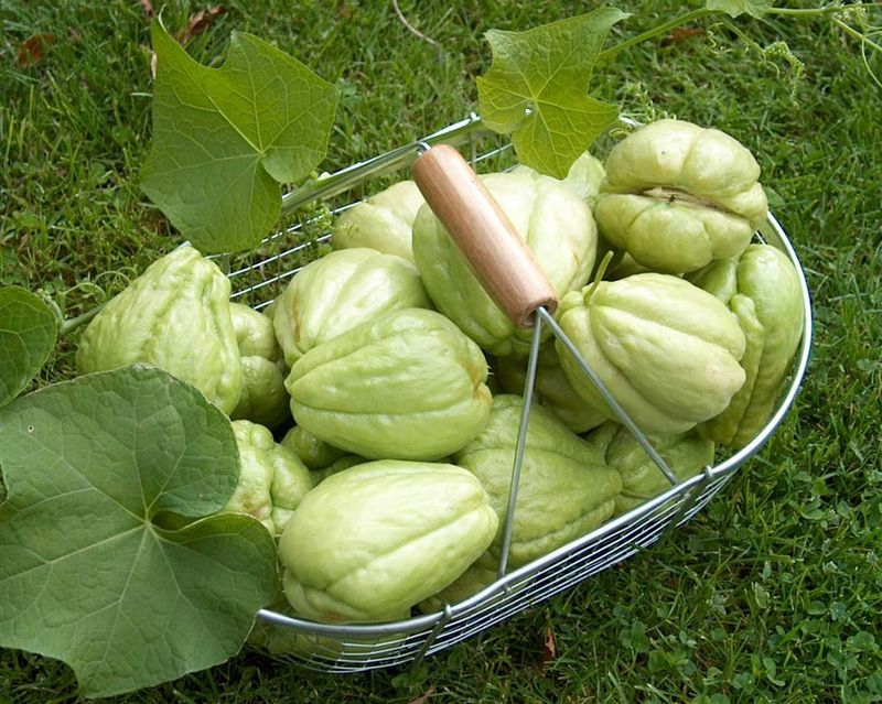 Carotte et feijoa, les maraichers bio qui vous nourrissent près de chez ...